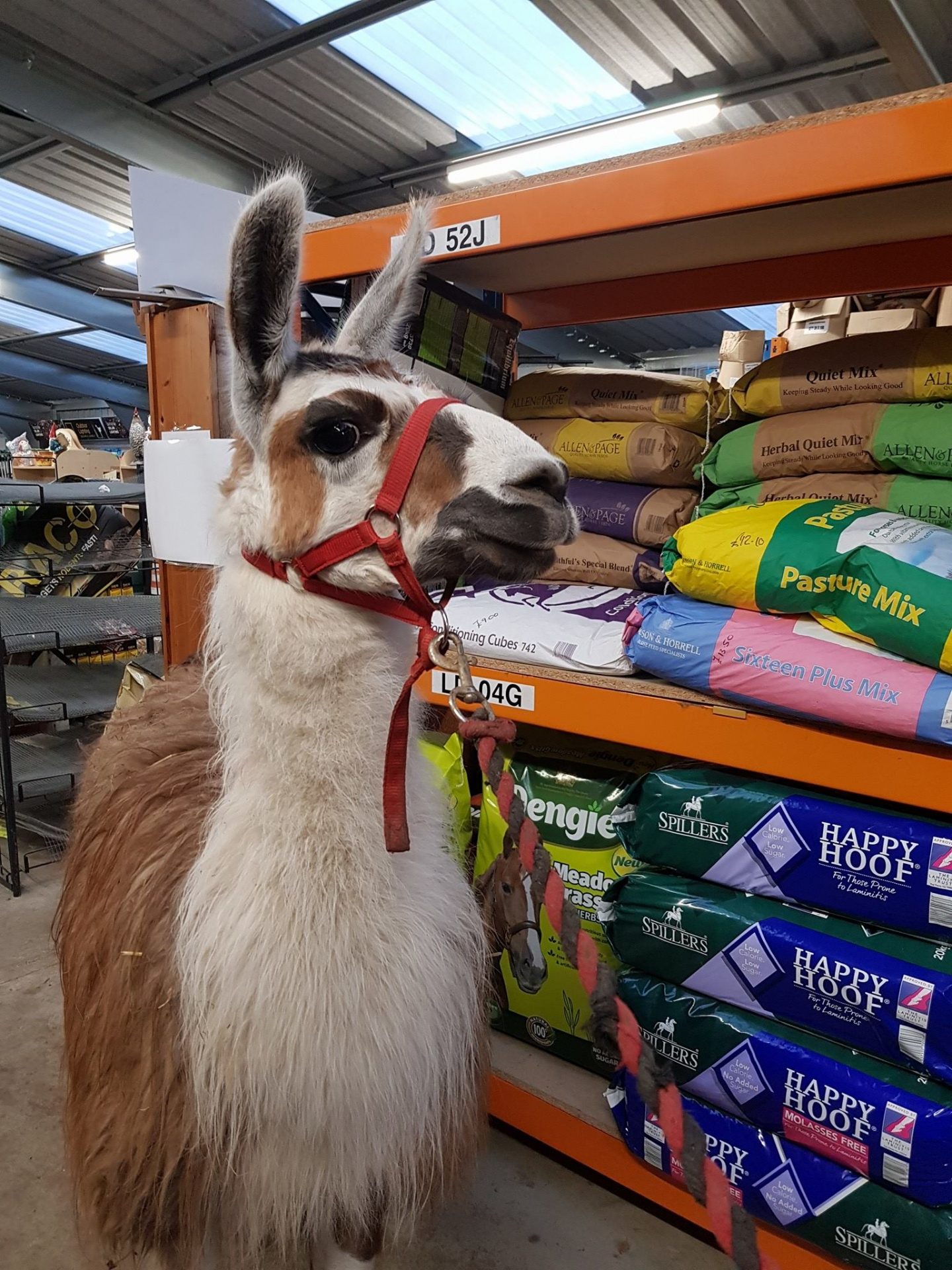 Things To Do Scratby Norfolk - The Beach Hut Norfolk